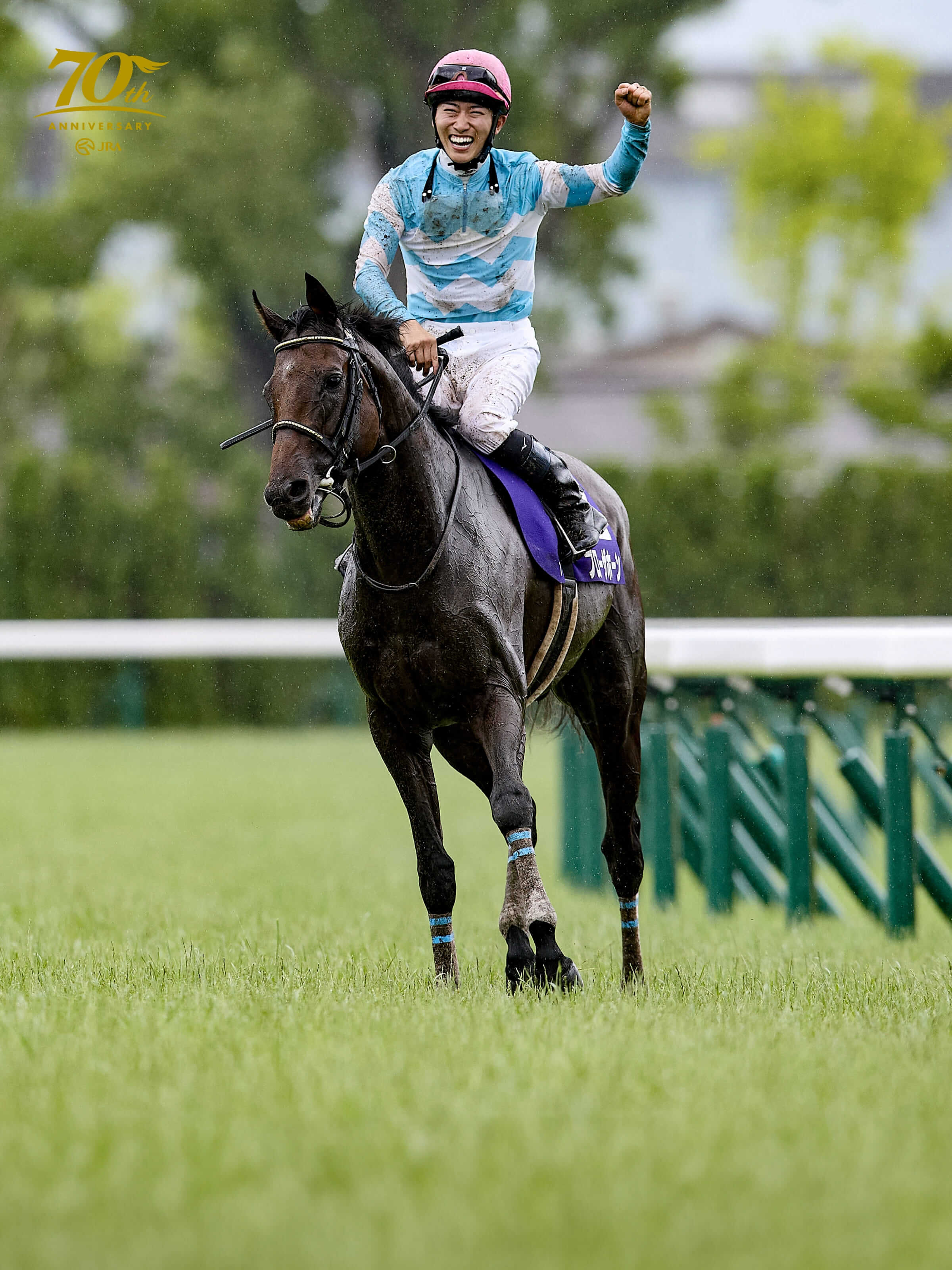 みんなでつくる名馬ポスター | JRA70周年特設サイト｜JRA